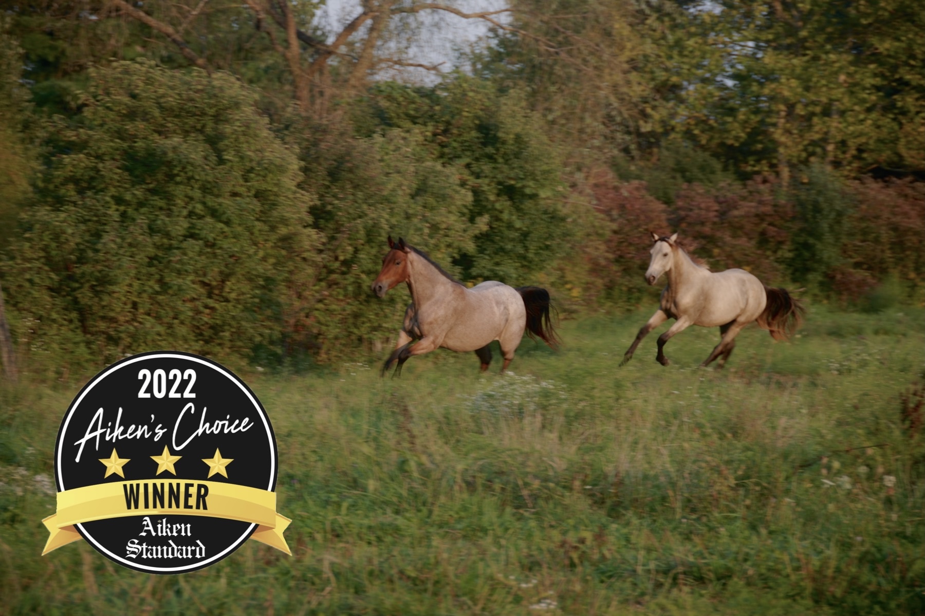 Stephen P Barnes CPA LLC